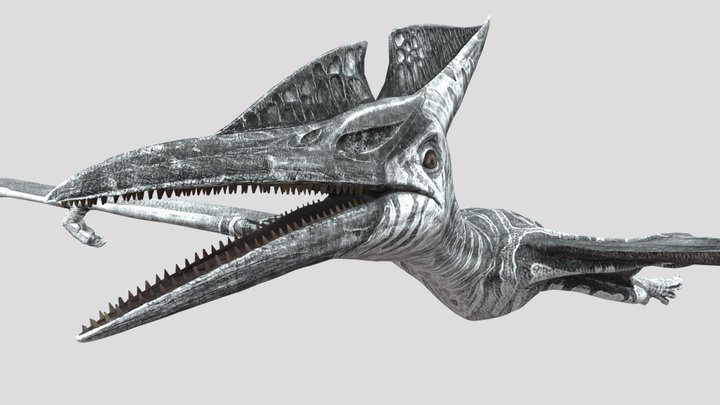 Pterosaur 3D models - Sketchfab