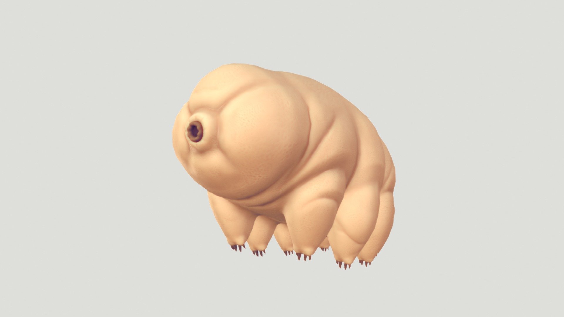 Tardigrade - Buy Royalty Free 3D model by bariacg [9390f3a] - Sketchfab ...