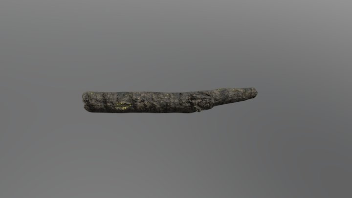 Cdv 3D models - Sketchfab