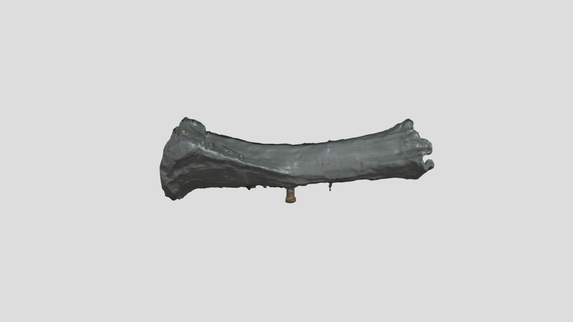 Clay Bone Test 1 - Download Free 3D model by The Hub @ Colgate ...