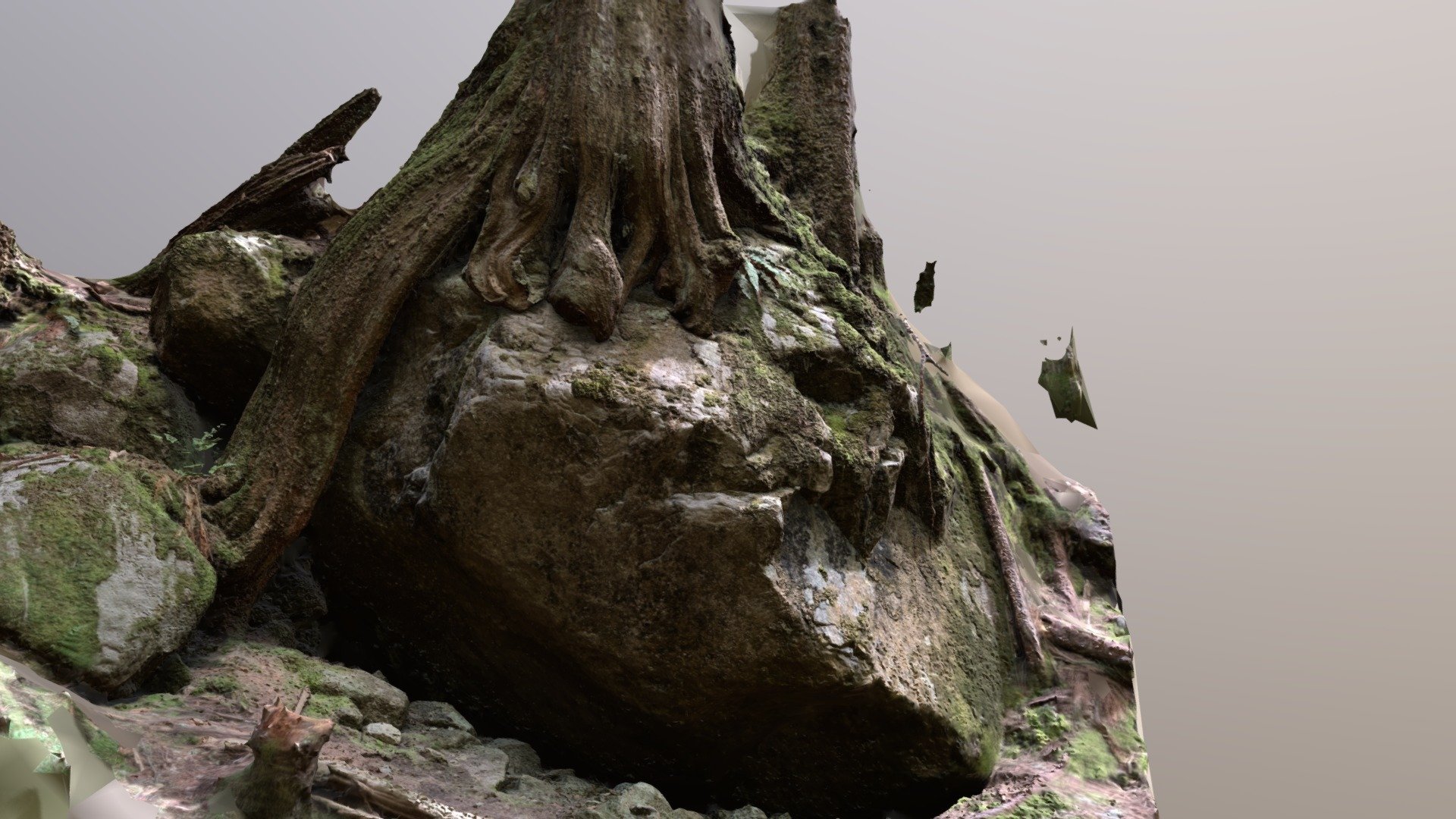 Old tree on a rock - Download Free 3D model by Albert Szostkiewicz ...