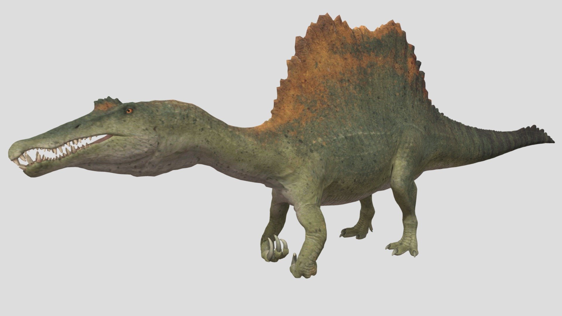 Dino Dana Spinosaurus - Download Free 3D model by seth the yutyrannus ...