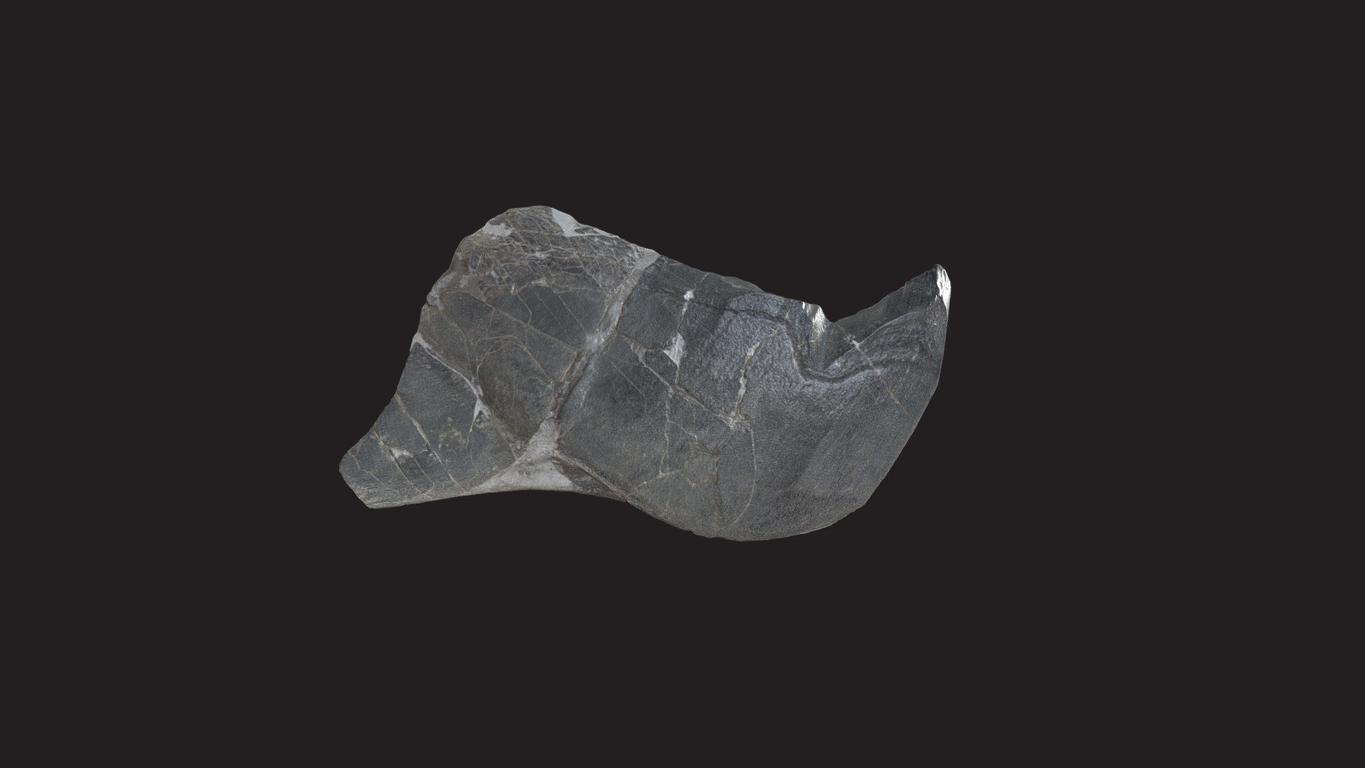 CMNH 6021, Dunkleosteus terrelli infragnathal - 3D model by Cleveland ...