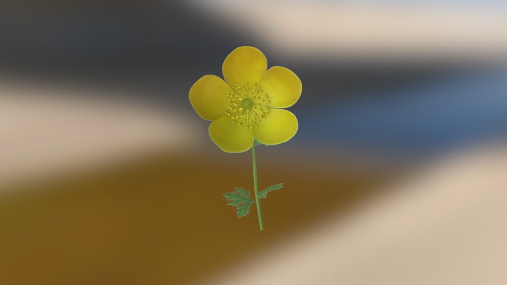 ButterCup - 3D model by nicogaballonie [93af966] - Sketchfab