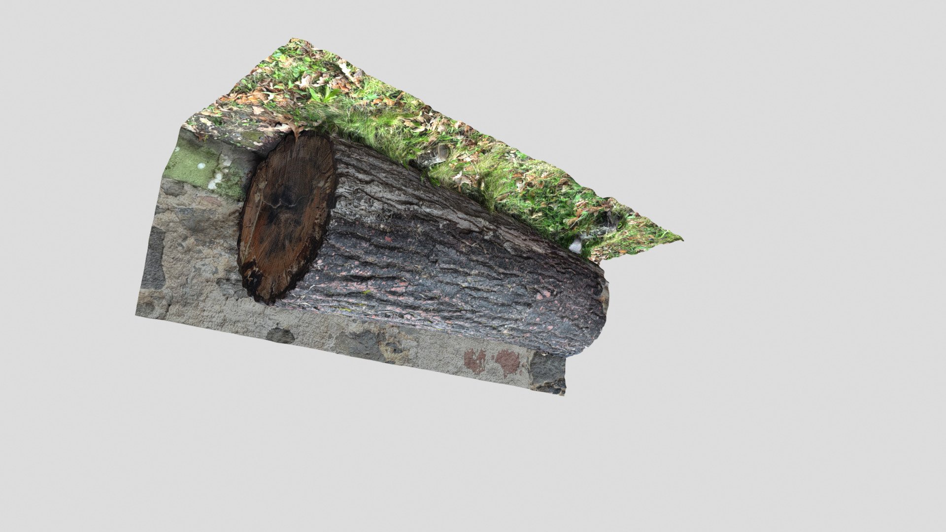Log - Download Free 3D model by Naresh87 [93c1f81] - Sketchfab