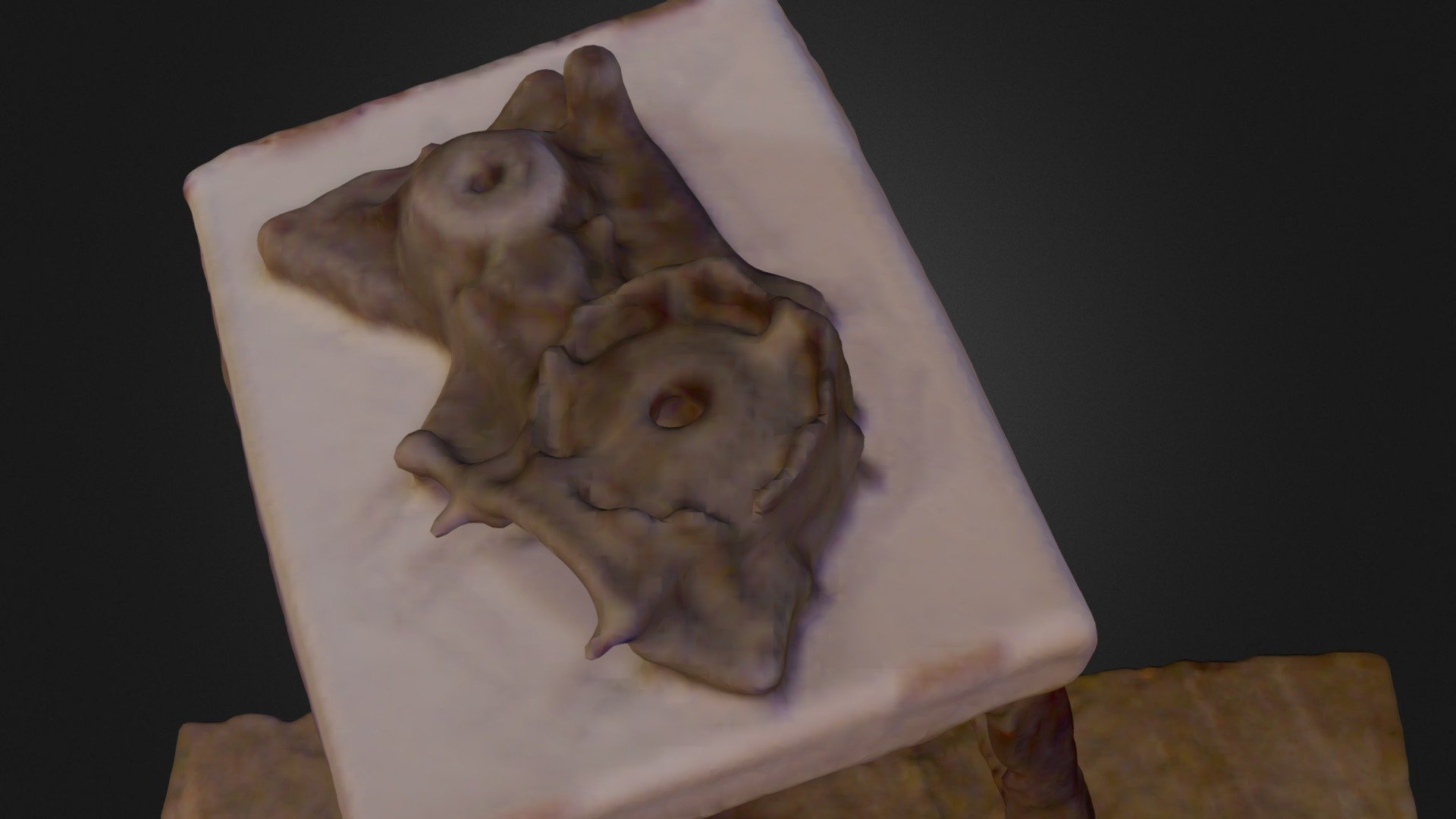zook - 3D model by smyersscott [93c7402] - Sketchfab