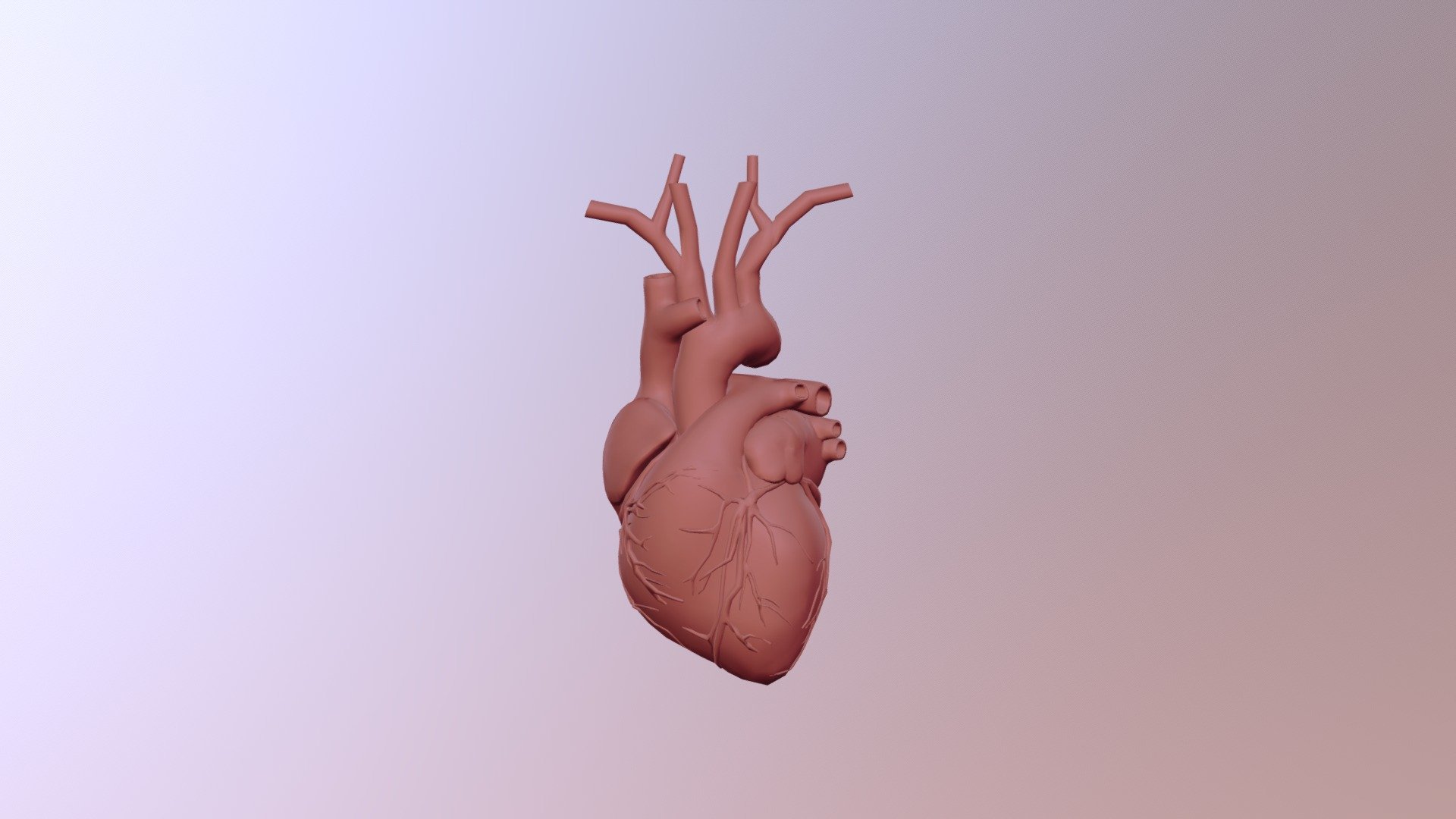Heart - 3D model by lhdeakin [93d5c4e] - Sketchfab