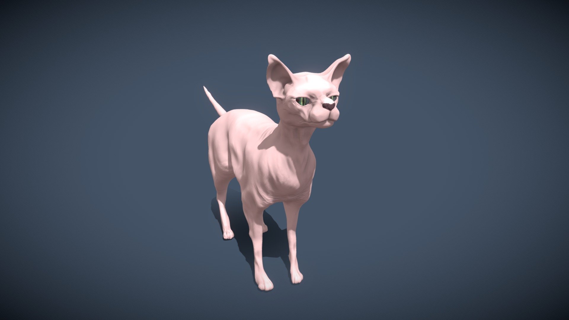 Sphynx Cat - 3D model by g0rra [93d77f0] - Sketchfab