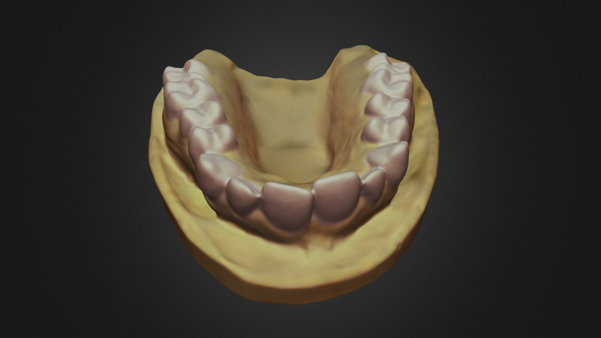 DENTAL MOLD 3D SCAN MAXILLA - 3D model by Lakehead Anthropology ...