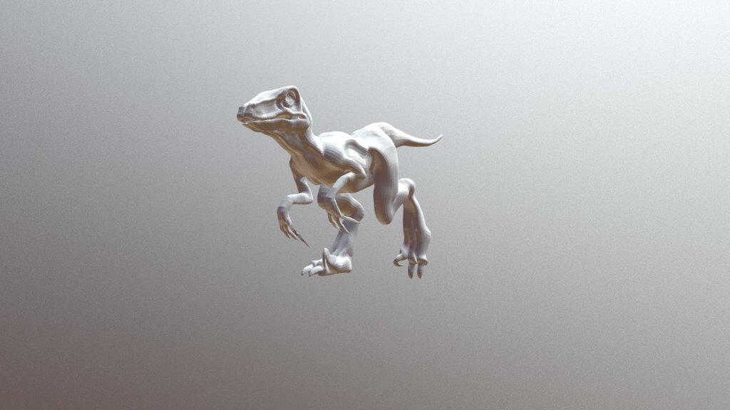 raptor - 3D model by kowato (@kowakowakowato) [93e1967] - Sketchfab