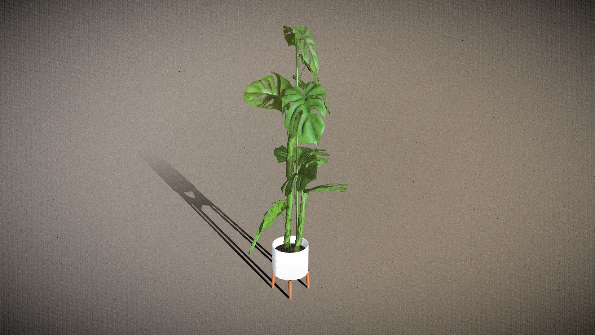 Potted Monstera Plant Tur - 3D model by 3d Eye Catcher (@3d-eye-catcher ...