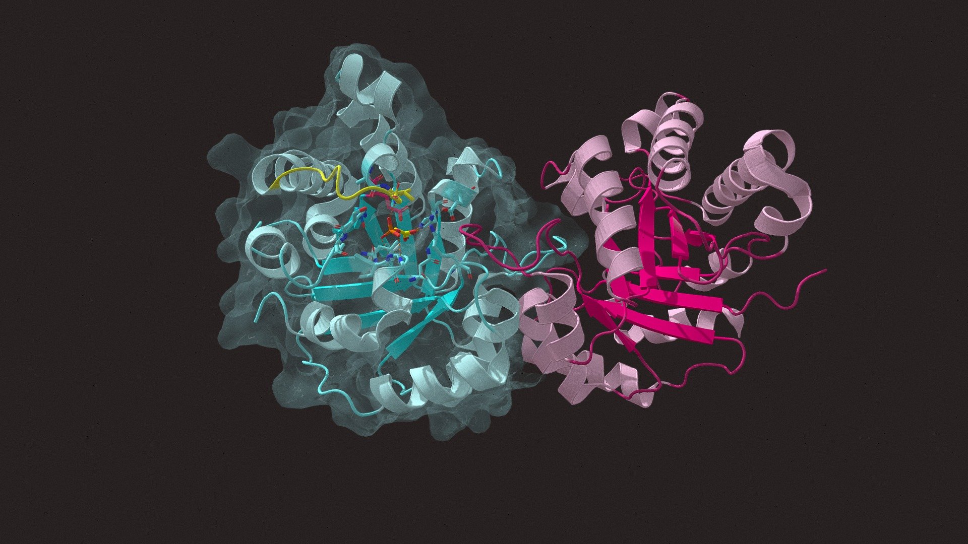 1HTI, human triosephosphate isomerase and PGA - 3D model by JJPerk ...