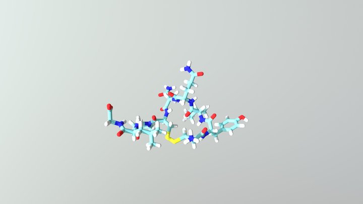 Peptide 3D models - Sketchfab