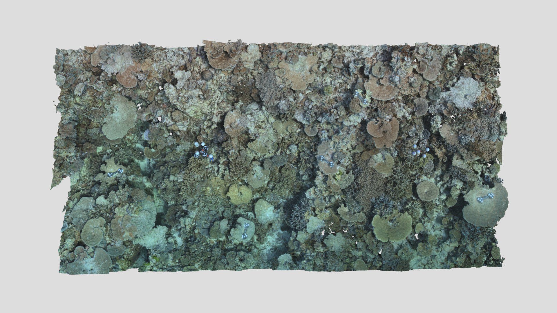 Heron_BA2S_P1_202105 - Download Free 3D model by EcoRRAP (@AIMSEcoRRAP ...