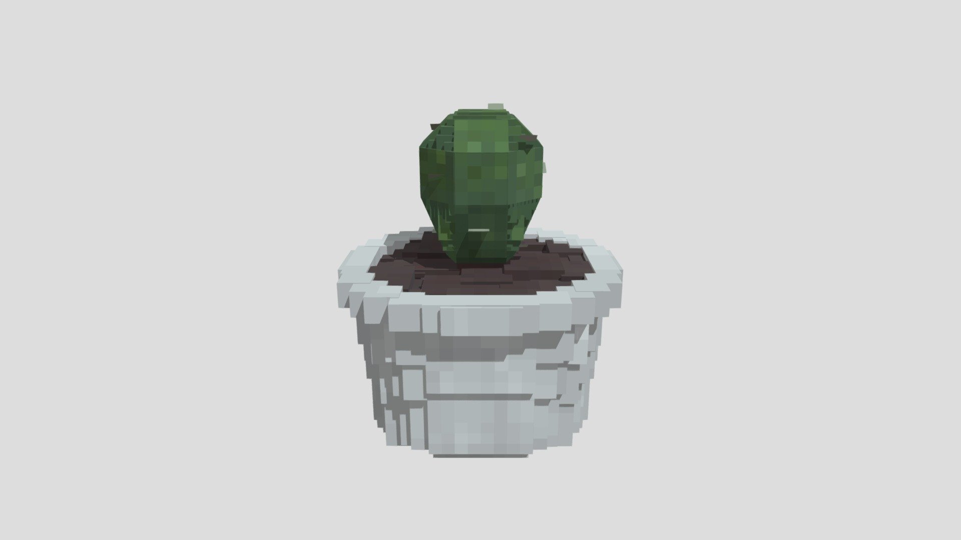 Cactus - 3D model by john4er [93f9f33] - Sketchfab