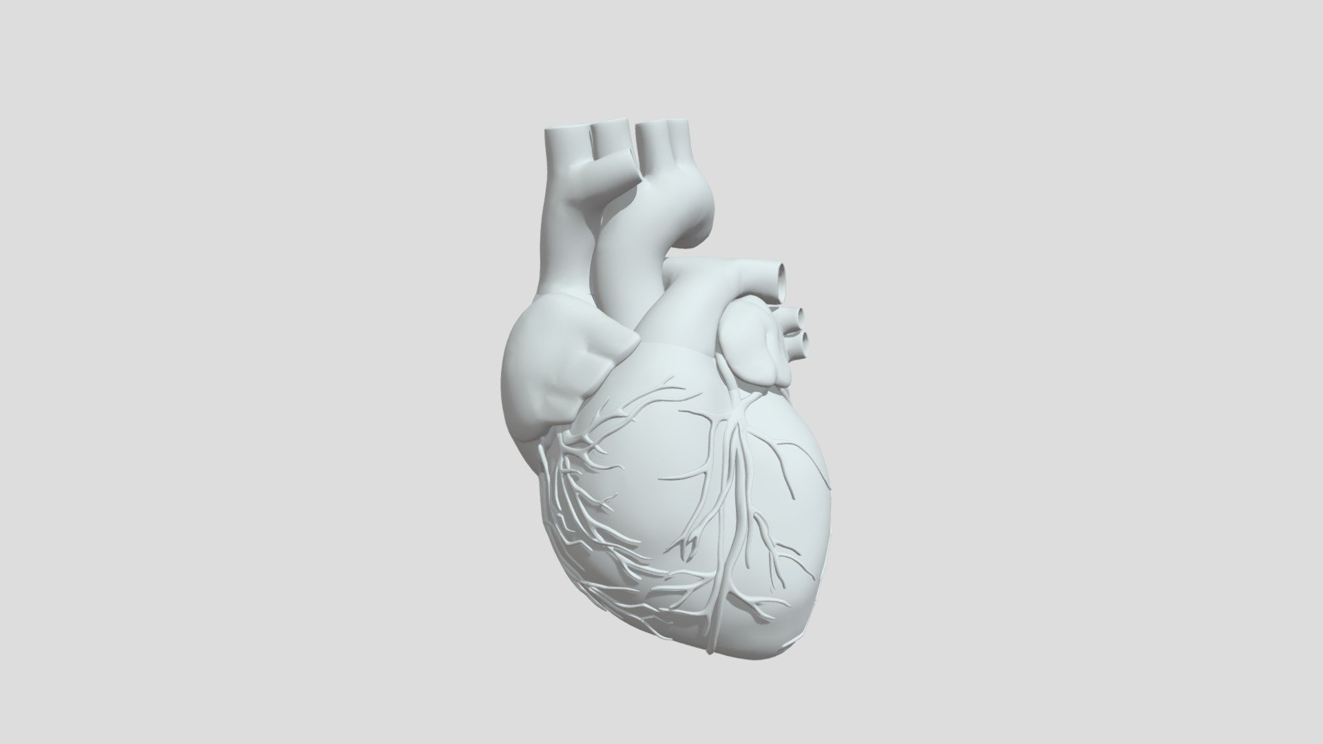 Realistic Human Heart - Buy Royalty Free 3D model by mahmoud147 ...