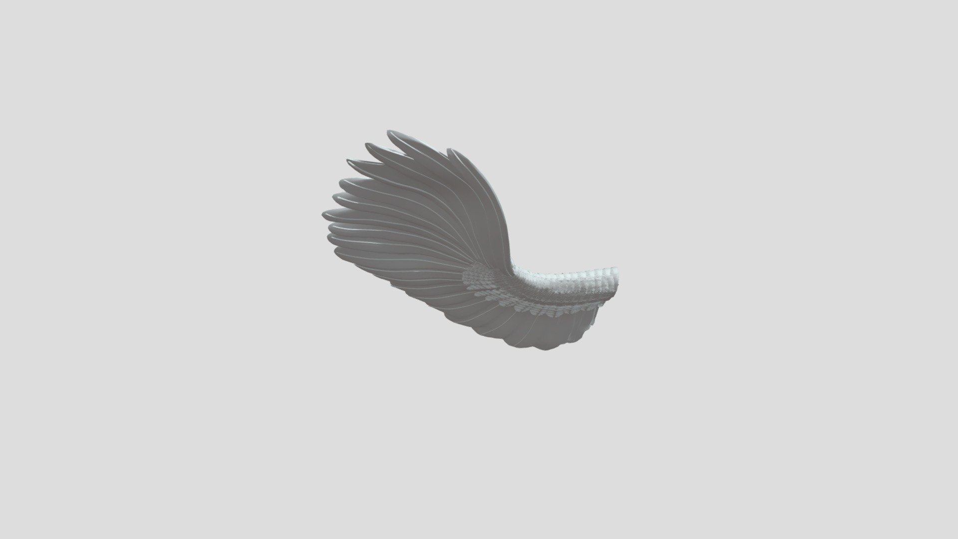 Wing2 - Download Free 3D model by neutralize [93fd67e] - Sketchfab