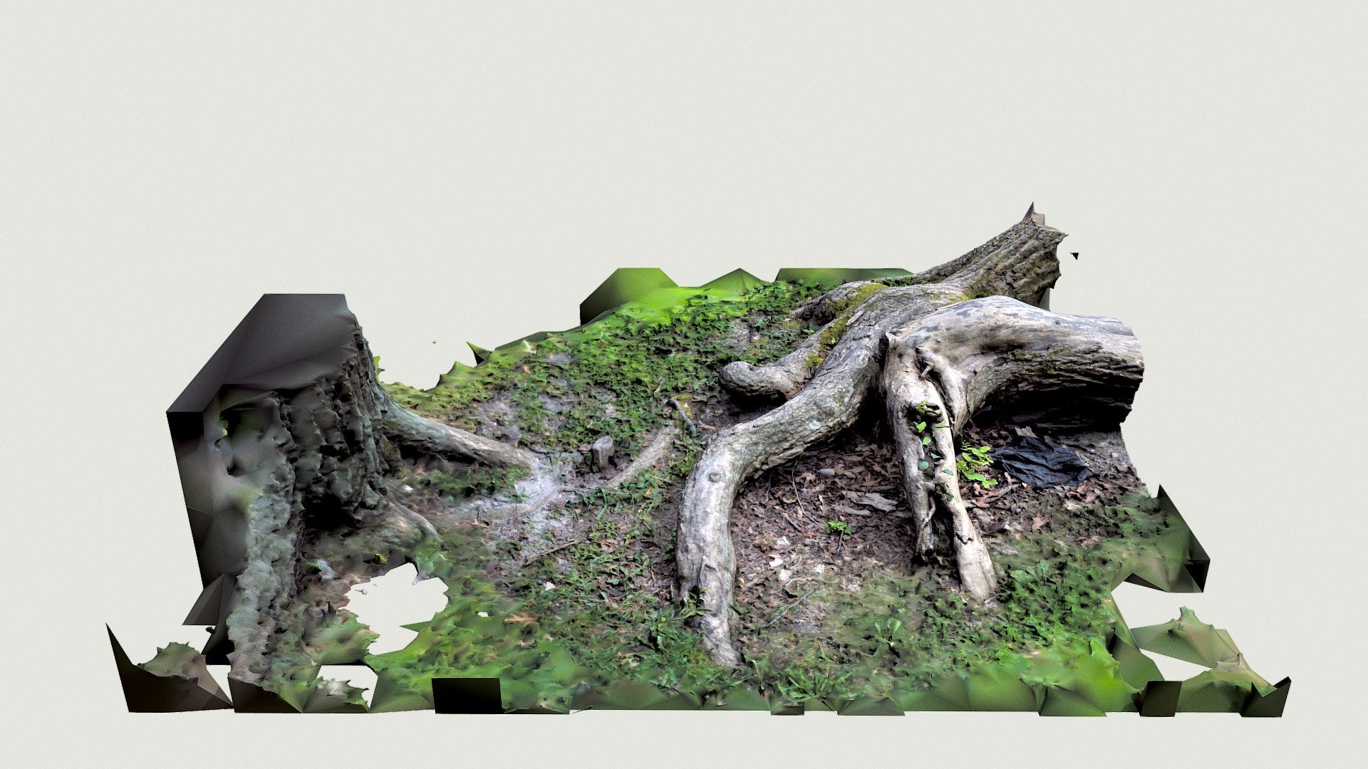 Foliage - Fallen Tree - 3D model by VitaliyBurovArt [9402790] - Sketchfab