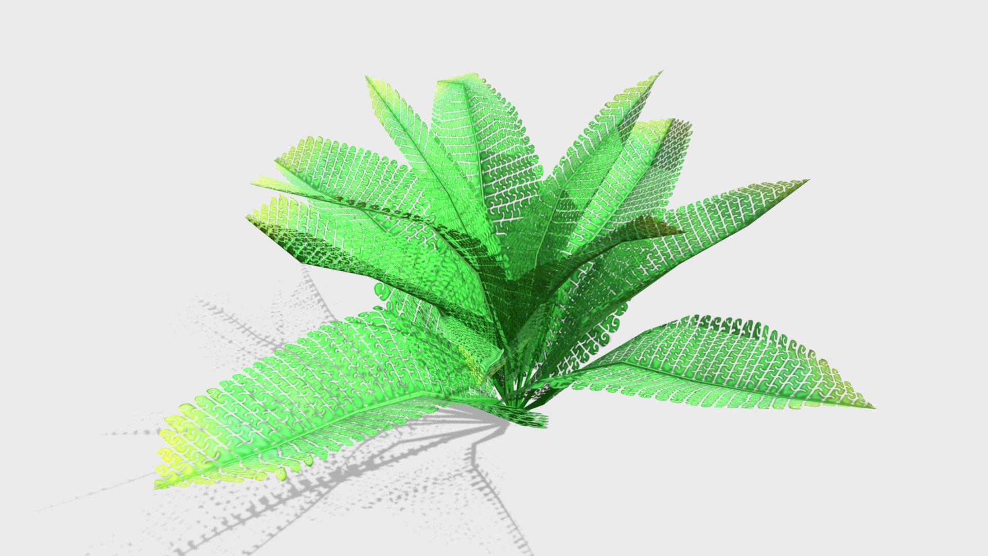 Fern - Download Free 3D model by AlexanderRuz [9403d66] - Sketchfab