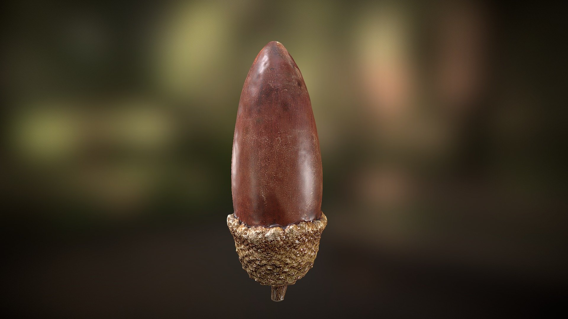 Acorn - Download Free 3D model by Moshe Caine (@moshecaine) [940e996 ...