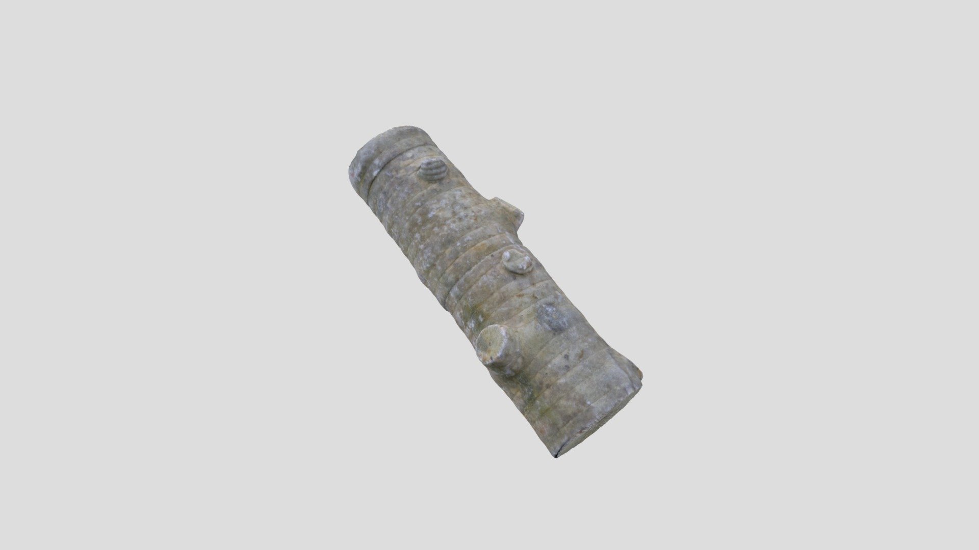 Fossil sample 302 - Download Free 3D model by UTSC DPES (@Daxberger ...