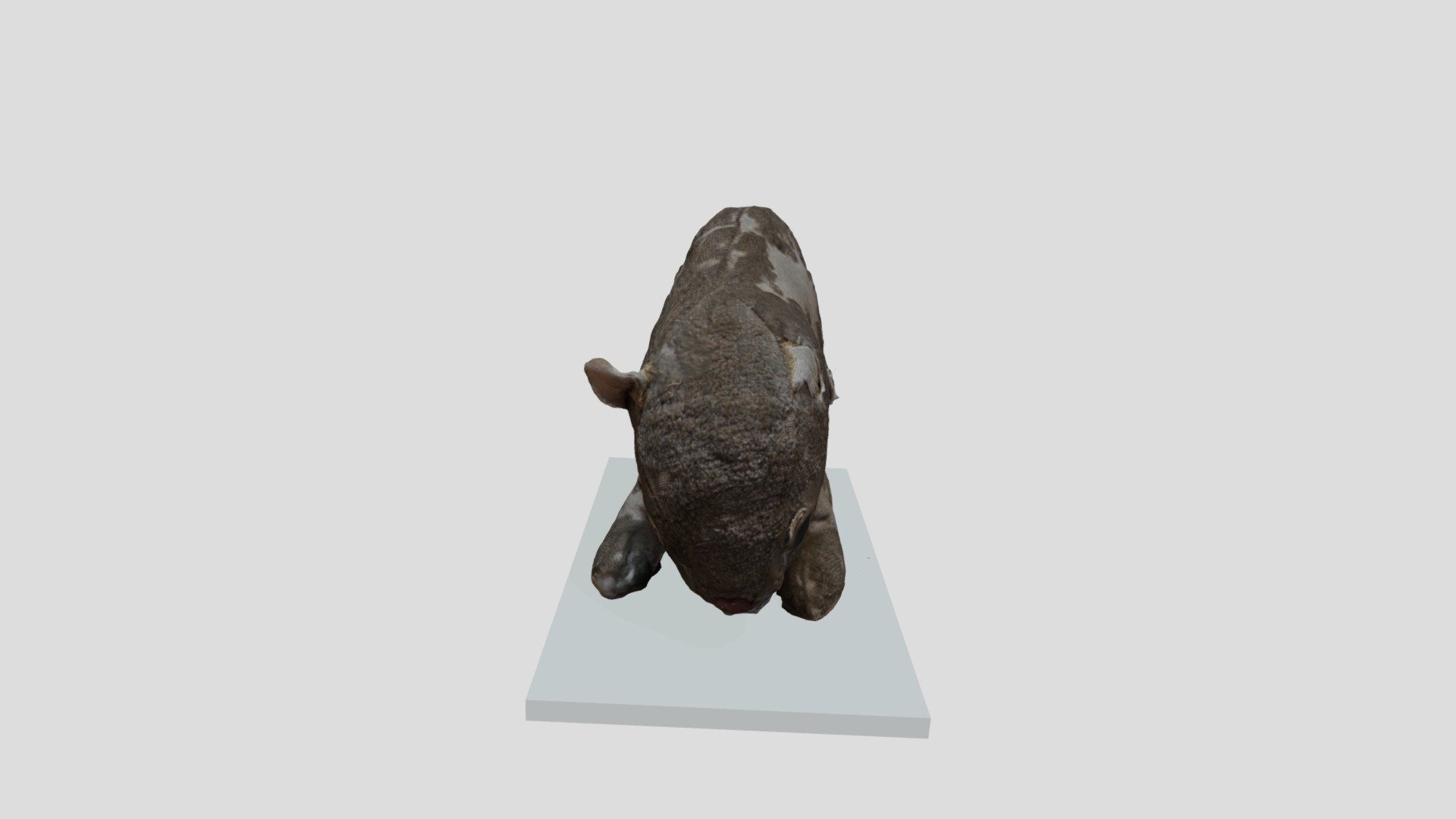 Wombat1 - Download Free 3D model by Nicktals [94135d5] - Sketchfab