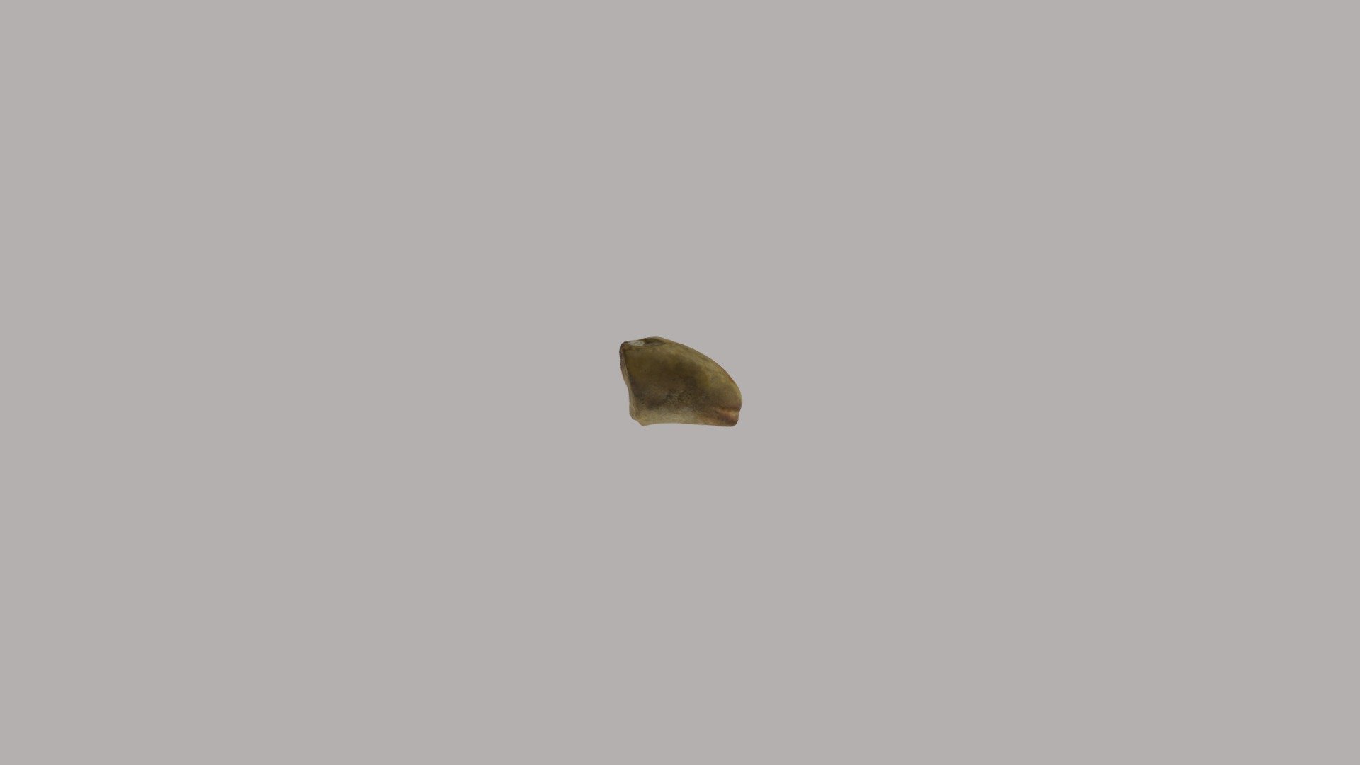 Zoólito 7578 - 3D model by Museu Arqueológico de Sambaqui de Joinville ...