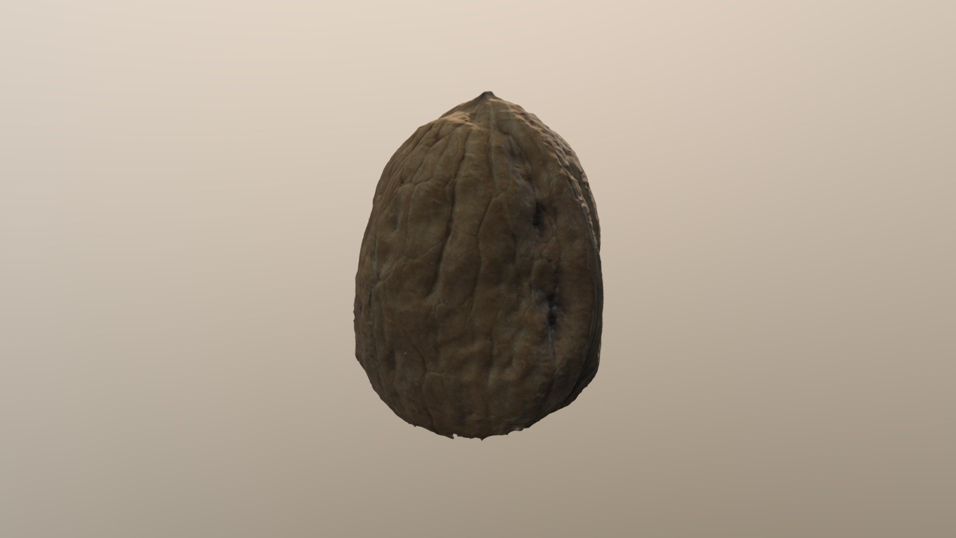 Processed Nut - 3D model by Criminux [9425355] - Sketchfab