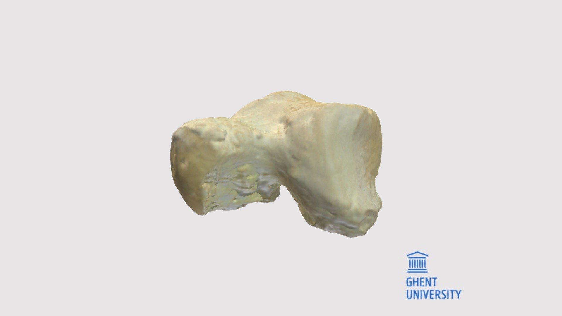 Talus - 3D model by AnatomyUgent (@emaudena) [9426686] - Sketchfab