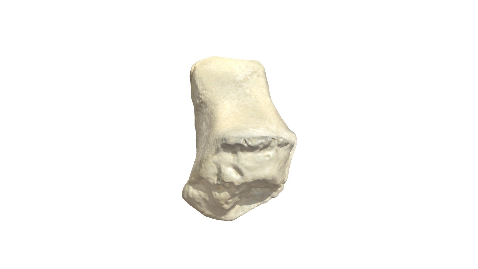 Os Trapezoideum R - 3D model by Universiteit Antwerpen (@marjanmaldoy ...