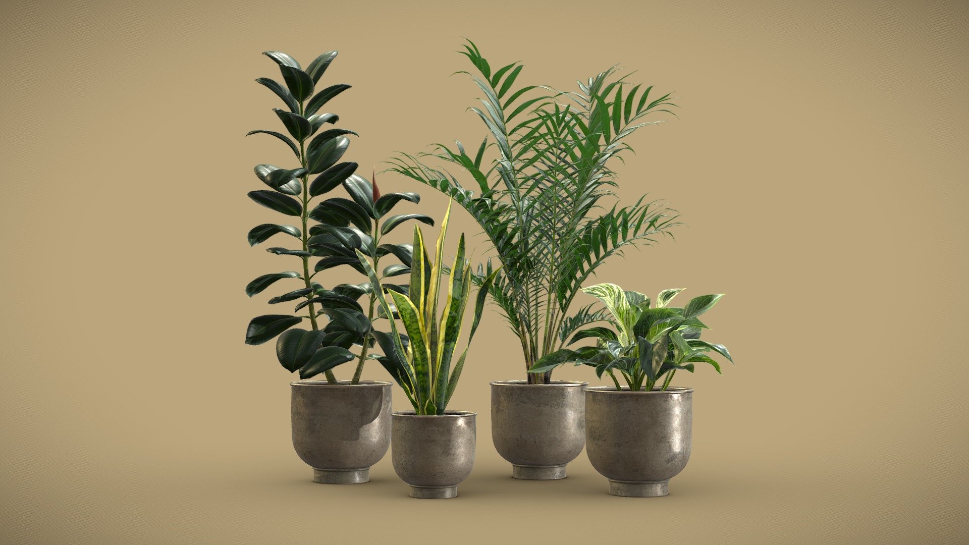 Indoor Plants Pack 20 - Buy Royalty Free 3D model by AllQuad [942cef9 ...