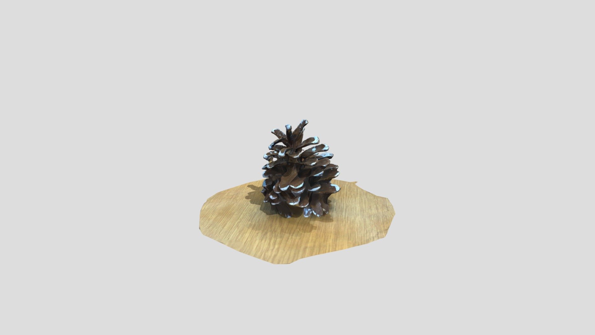 Piney - Download Free 3D model by aditi0505 [942fd34] - Sketchfab