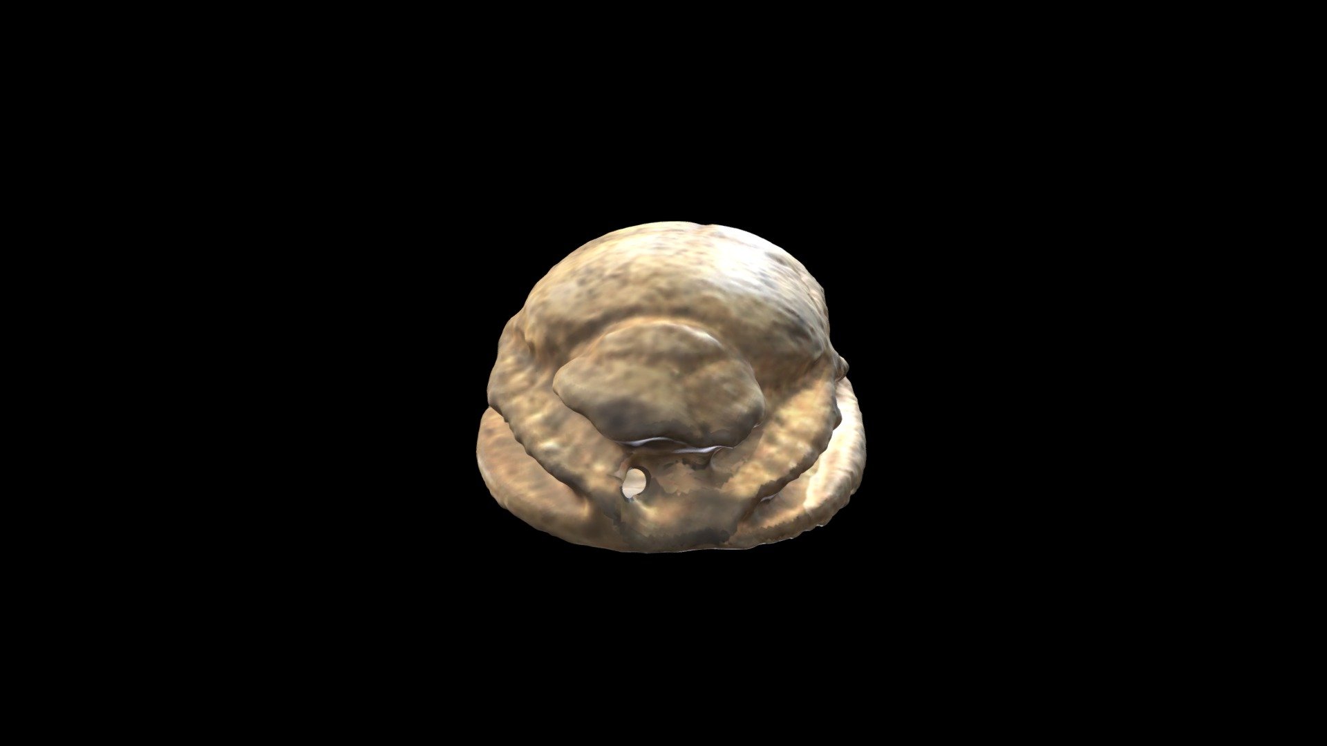 Scarab - Download Free 3D model by Harvard Museum of the Ancient Near ...