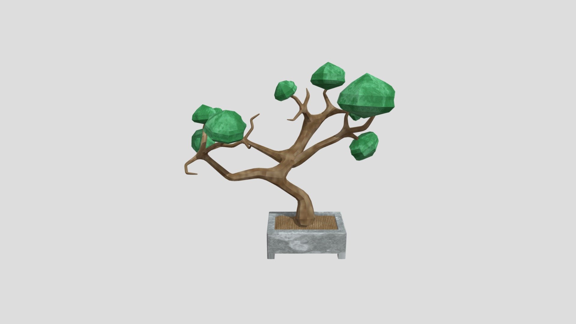 Bonsai Tree. - 3D model by Megan (@dc400253801) [9447f86] - Sketchfab