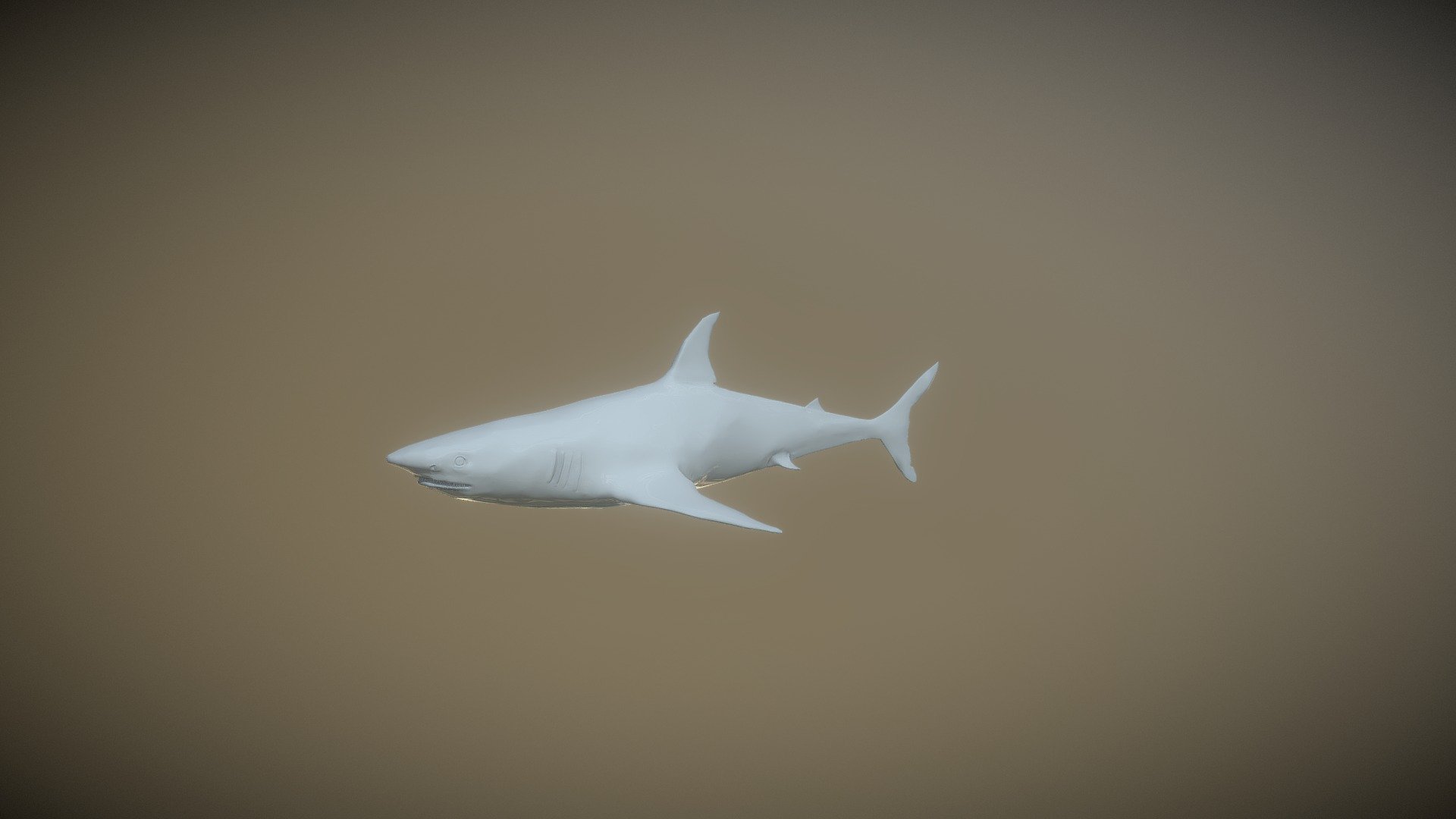 Shark Mesh Complete - 3D model by Jack Thompson (@JackT96) [94497b4 ...