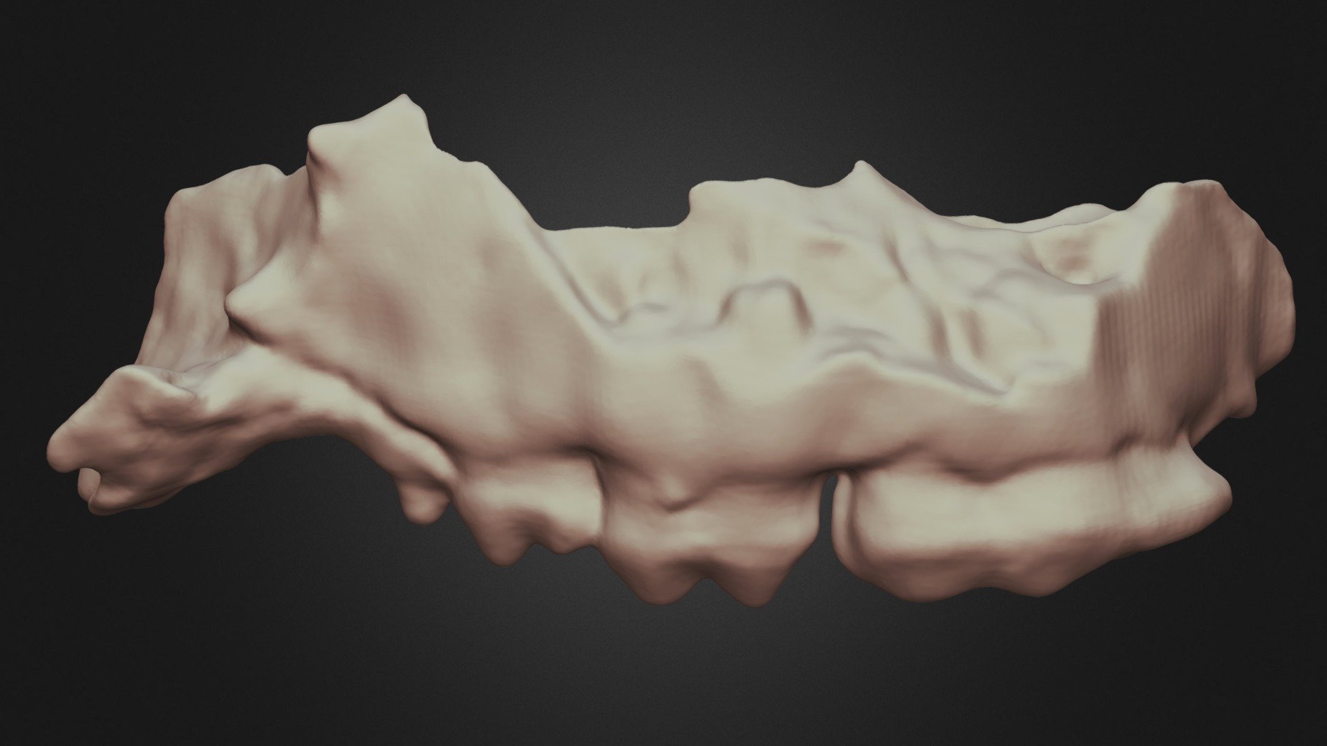 Ursus americanus (Black Bear) Maxilla - 3D model by Lakehead ...