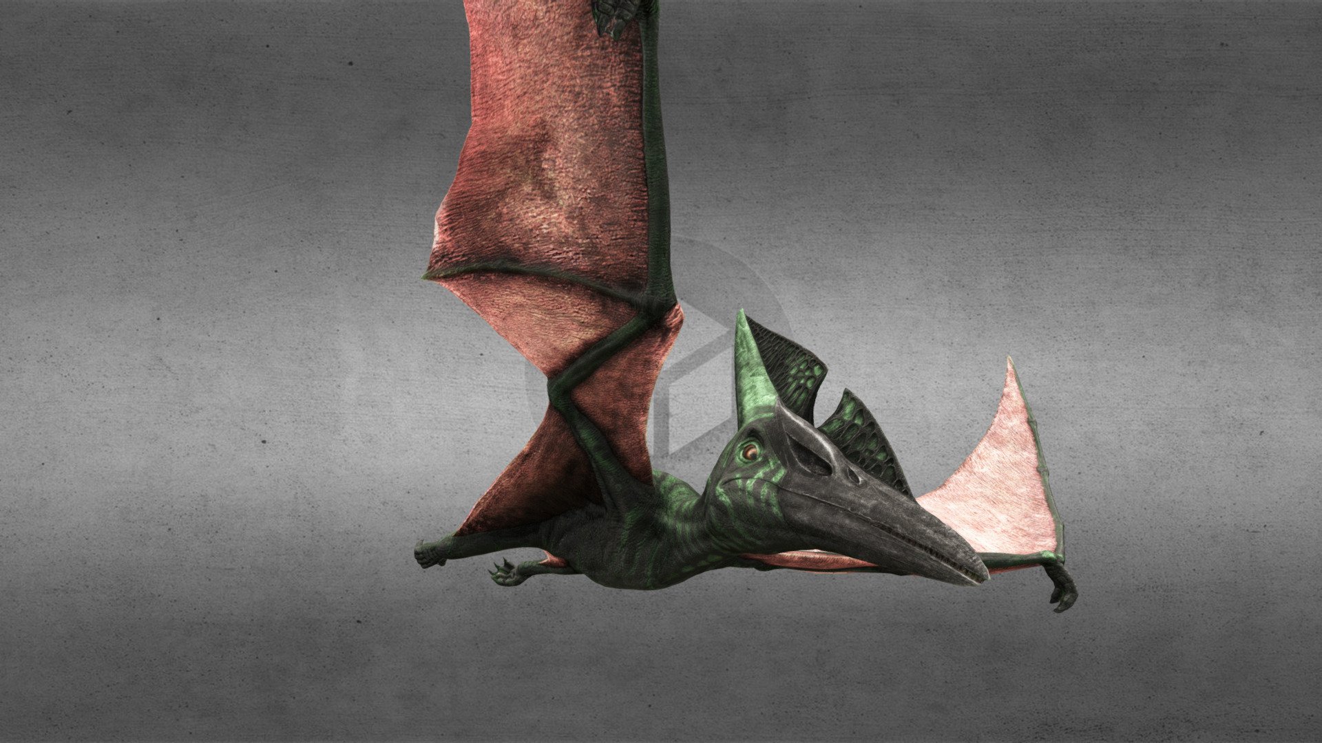 Pteranodon - 3D model by Steelman14a (@s.2) [944a56f] - Sketchfab
