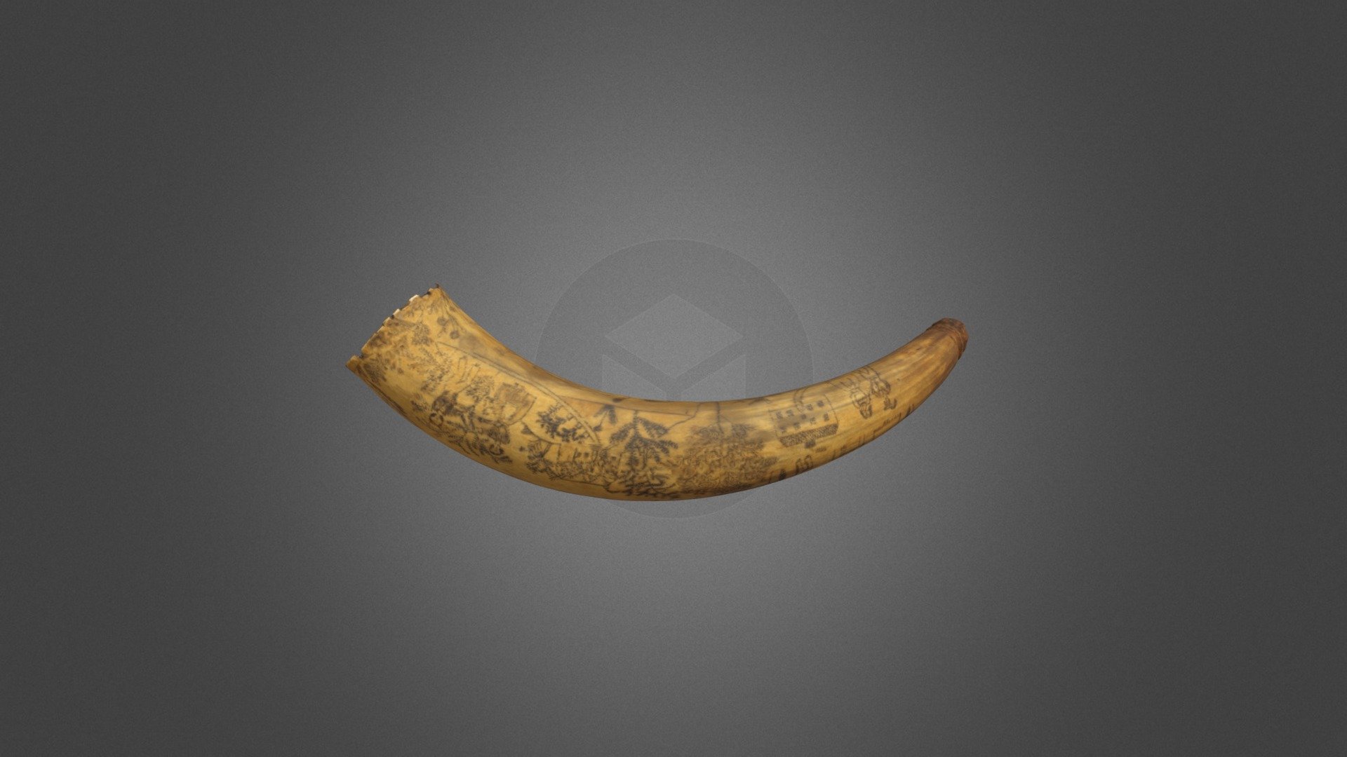 1983-13-0001_ Powder Horn - 3D model by IU Museum of Archaeology and ...