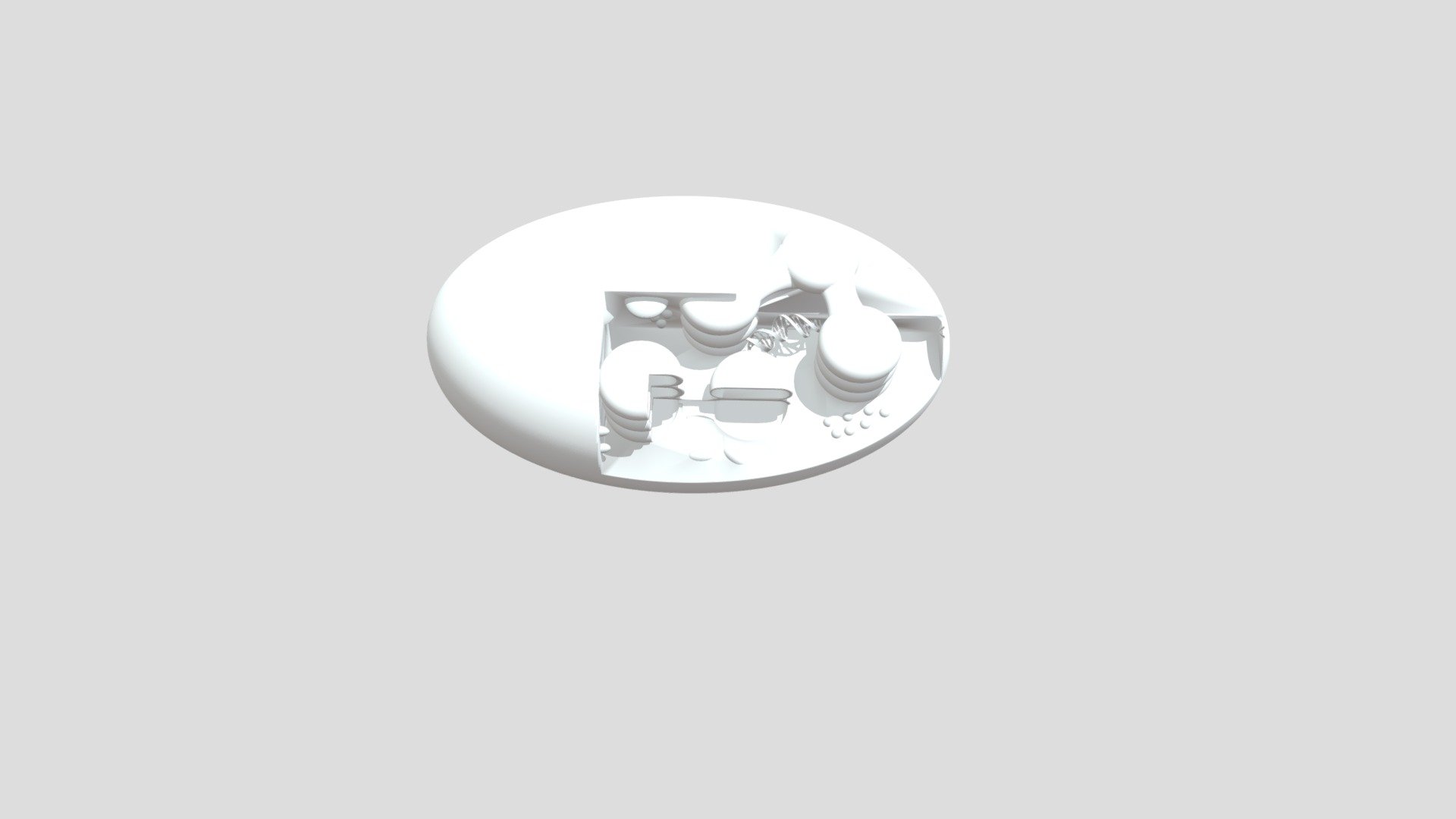 chloroplast - 3D model by montanhabio [9452c35] - Sketchfab