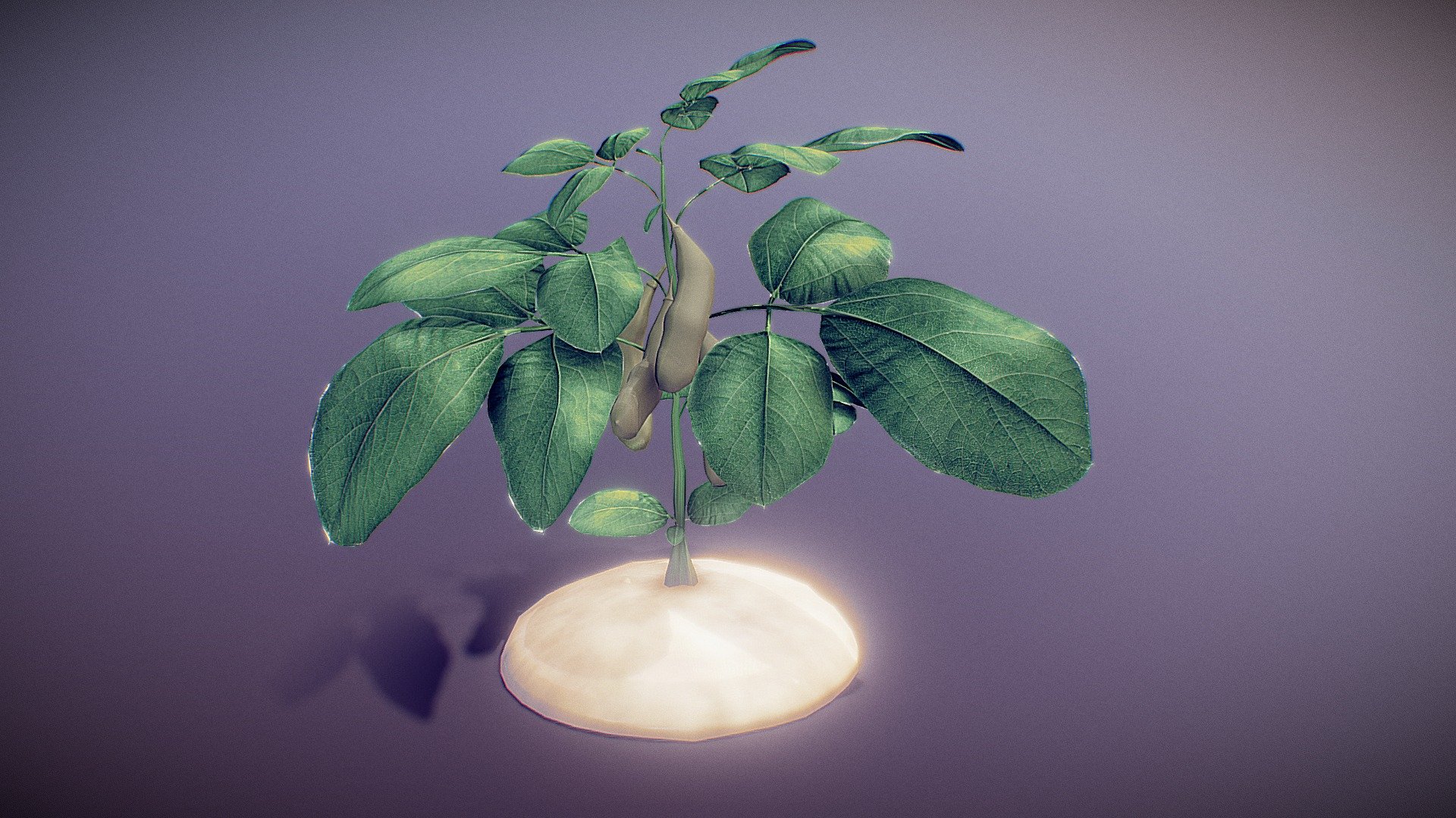 Growing Soy - Soybean - Buy Royalty Free 3D model by Maycon.Chaves ...