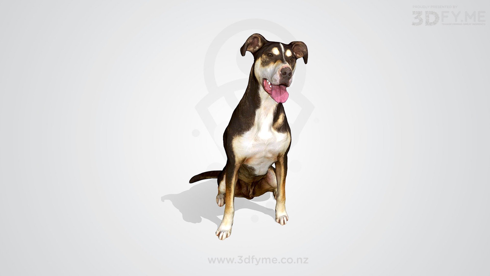 Benny - Explosive Detector Dog - 3D model by 3Dfy.me New Zealand ...