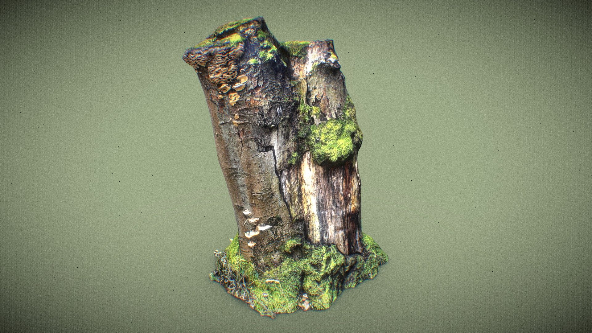 Moos-Baumstumpf - Download Free 3D model by Rene-L211979 (@renelambert ...