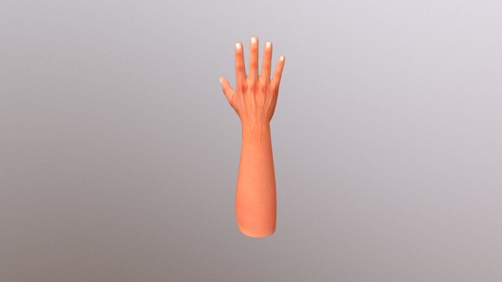 hand_file1 - 3D model by thakurvipin49 [9466e11] - Sketchfab
