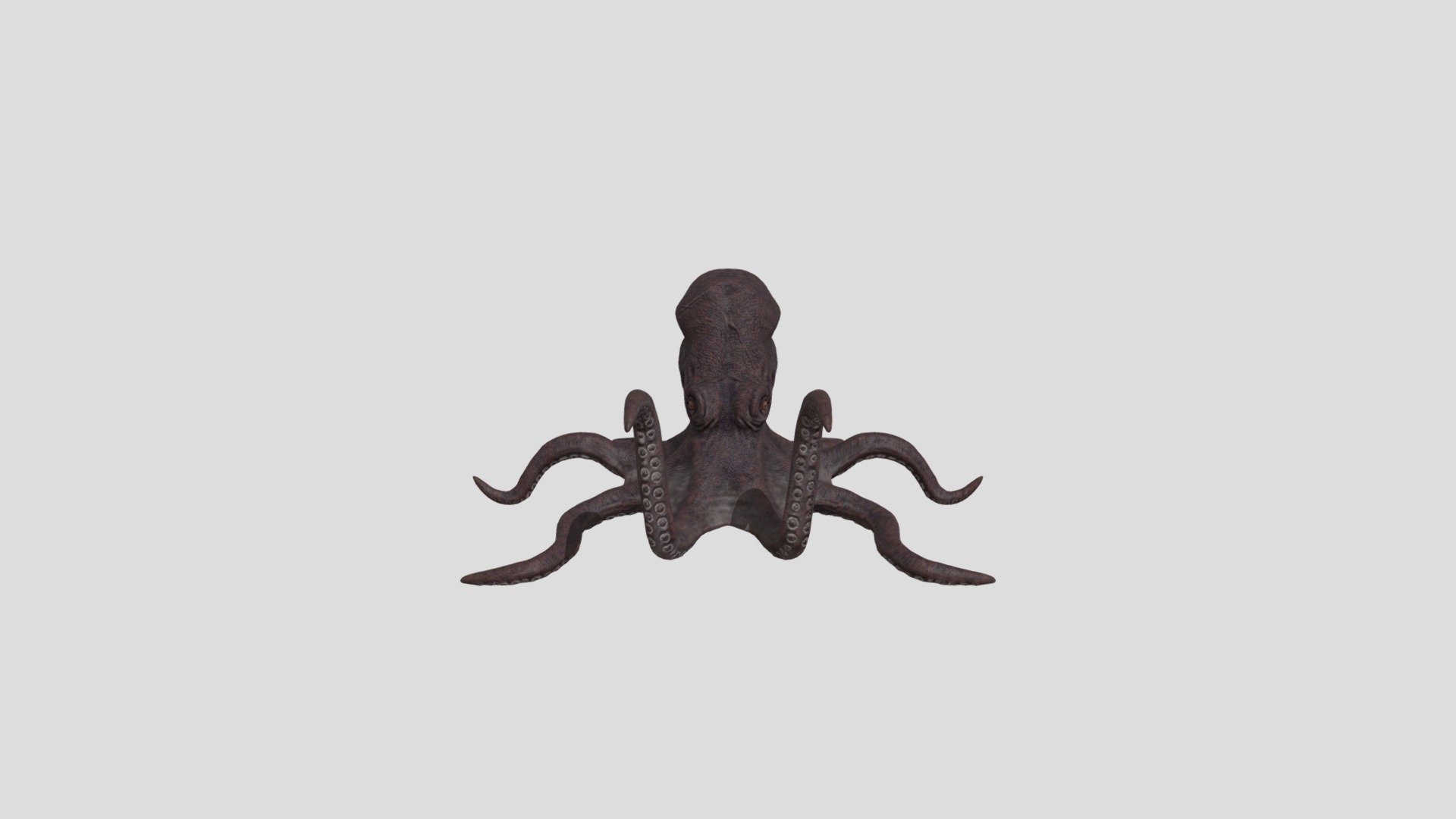 Octopus - 3D model by aladinolive8 [946bd5e] - Sketchfab