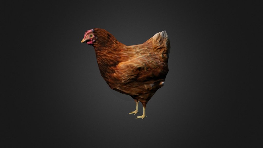Hen - 3D model by quentin_letren [946fac5] - Sketchfab