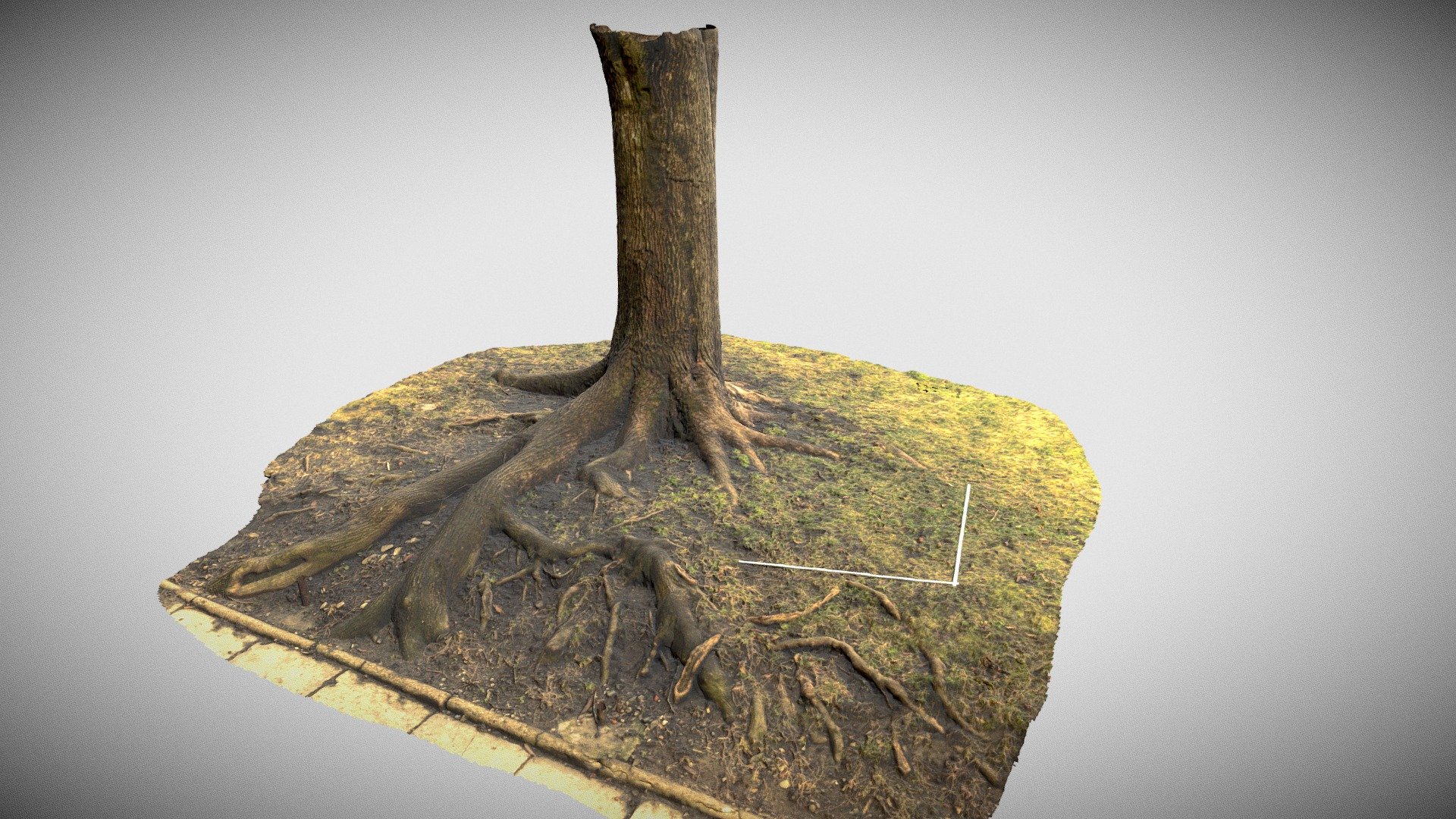 Drzewo Korzenie / Tree roots - Download Free 3D model by sowa34_7 ...