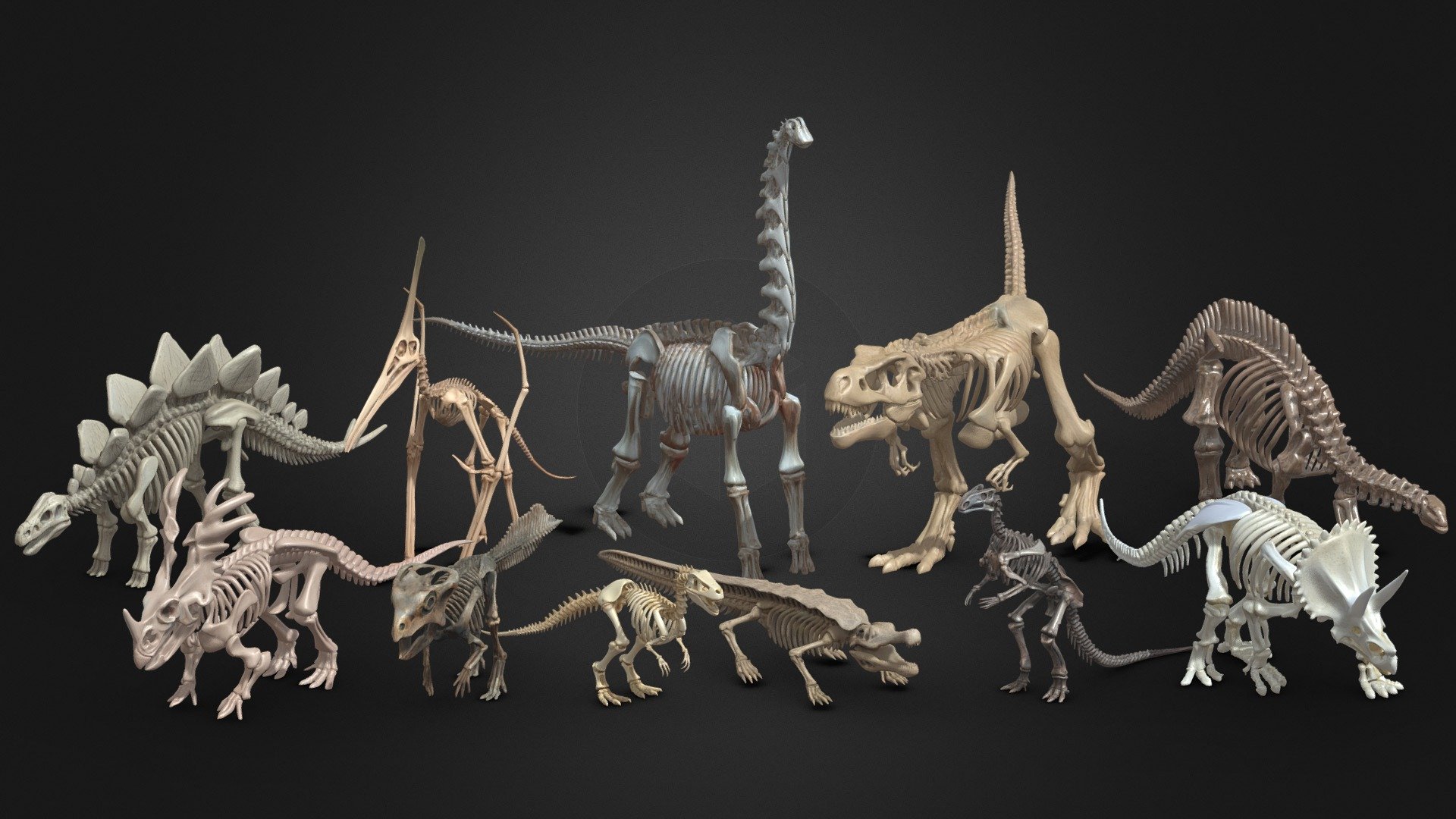 Dinosaur Fossil Pack VOL.1 - 3D model by ShowBeat Studio (@imlmw ...