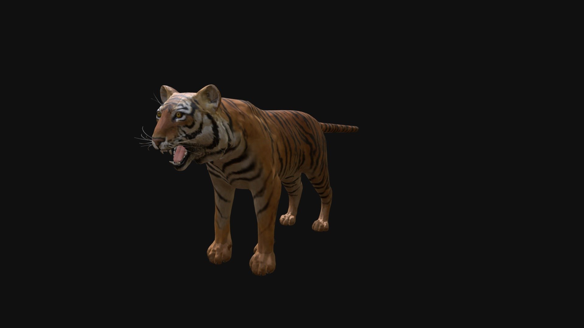 Tiger - Download Free 3D model by Jai.Gupta [9488609] - Sketchfab