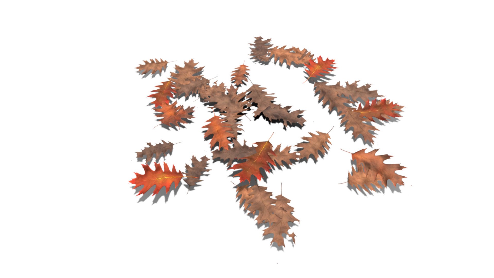 Realistic HD Red oak leaf litter (29/36) - Download Free 3D model by ...