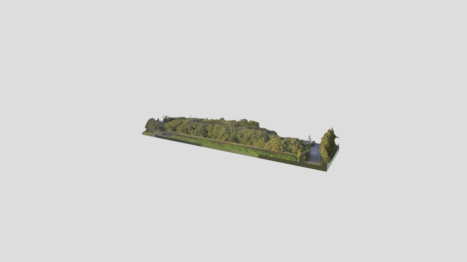 이시돌 숲길 10M - 3D model by META jeju (@Hyun-seok.Jun) [9490079] - Sketchfab